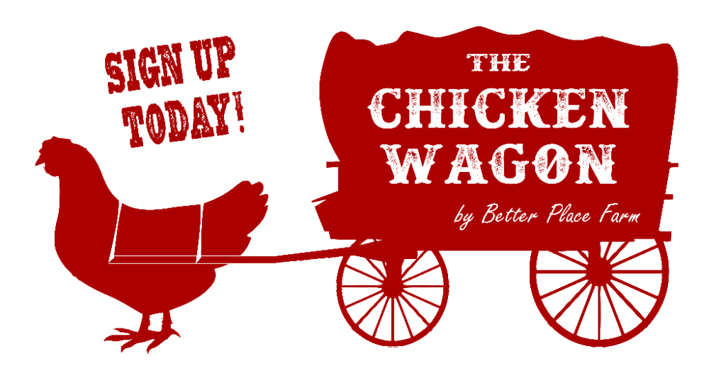 The Chicken Wagon - Better Place Farm