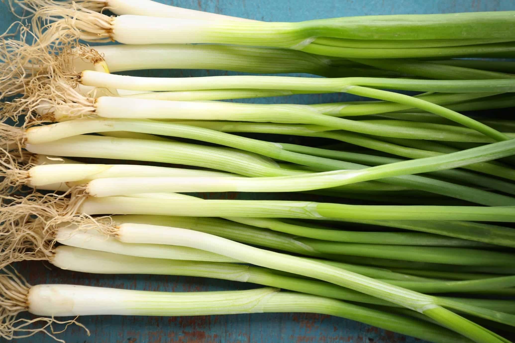Green Onions & Scallions - Better Place Farm
